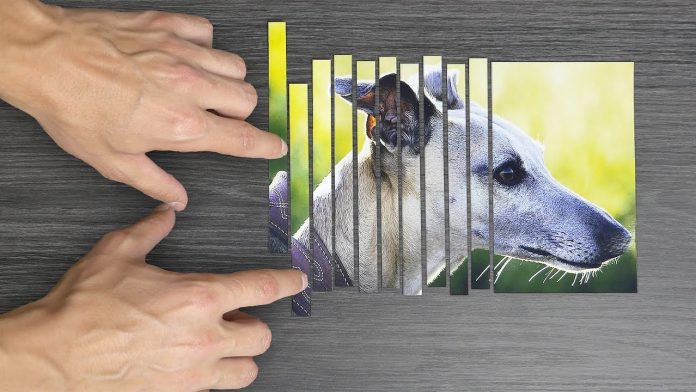 17 AMAZING AND EASY SCIENCE EXPERIMENTS YOU CAN DO AT HOME